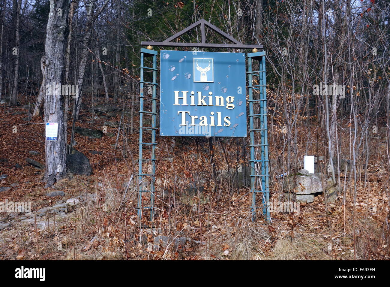 Hiking Trails sign in a wood in Ontario, Canada Stock Photo - Alamy