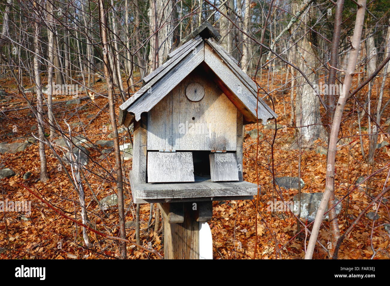 Fall birds hi-res stock photography and images - Alamy