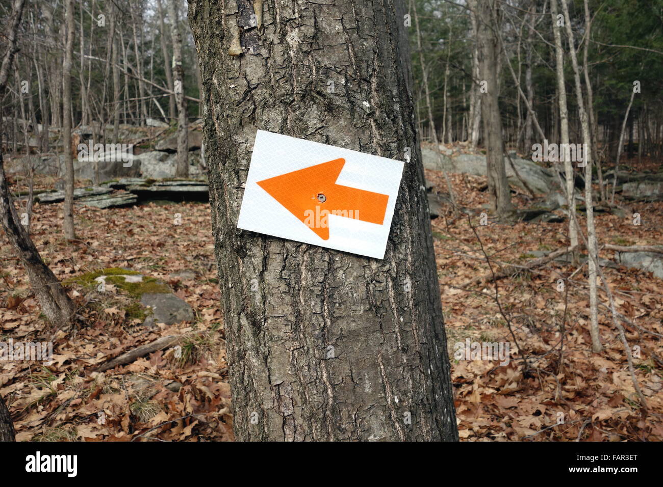 Red arrow symbol hi-res stock photography and images - Alamy