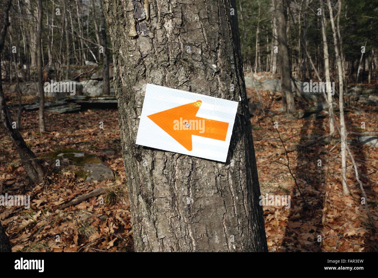 Red arrow directional sign in a forest in Ontario Stock Photo - Alamy