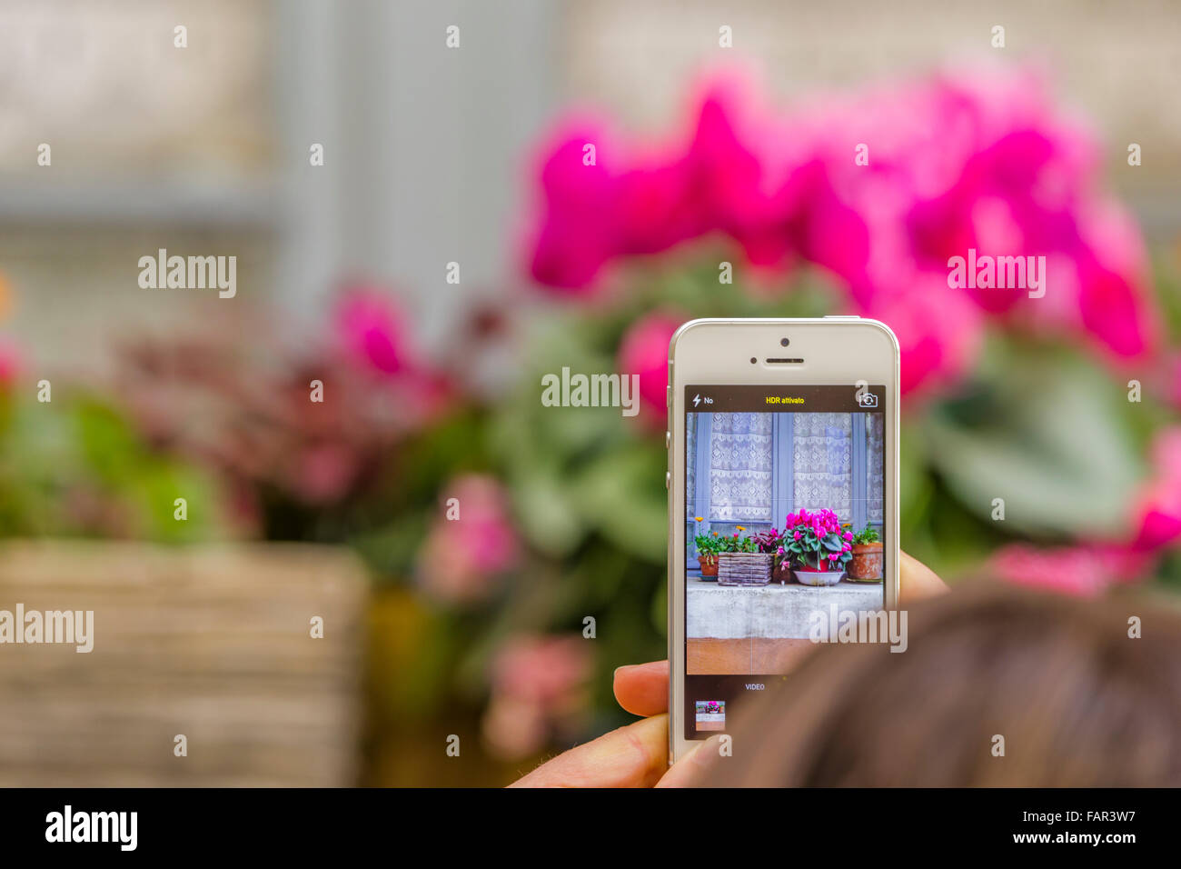 Windows with pots hi-res stock photography and images - Alamy