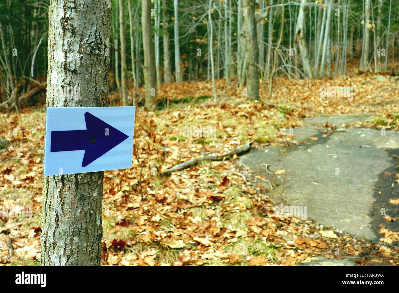 Blue arrow hi-res stock photography and images - Alamy