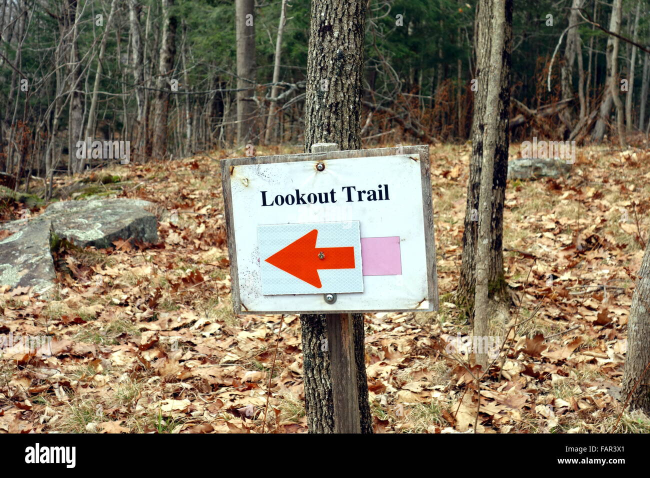 Lookout Trail sign in a forest in Ontario Stock Photo - Alamy