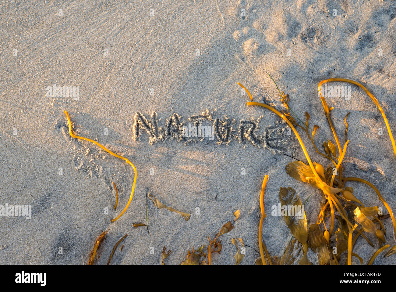 Alphabet in nature hi-res stock photography and images - Alamy