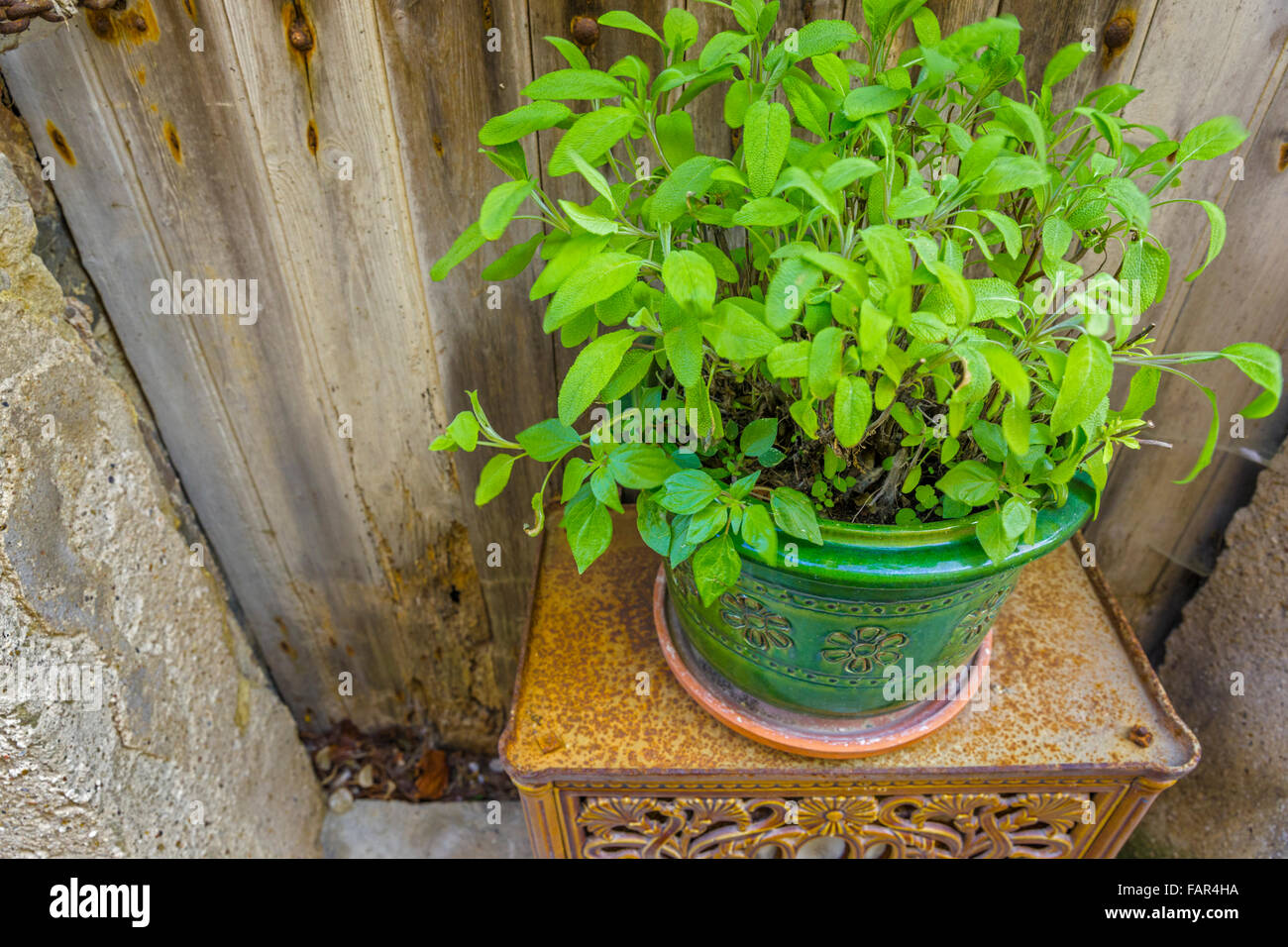 Plant pot on window ledge, Provence, France Stock Photo - Alamy
