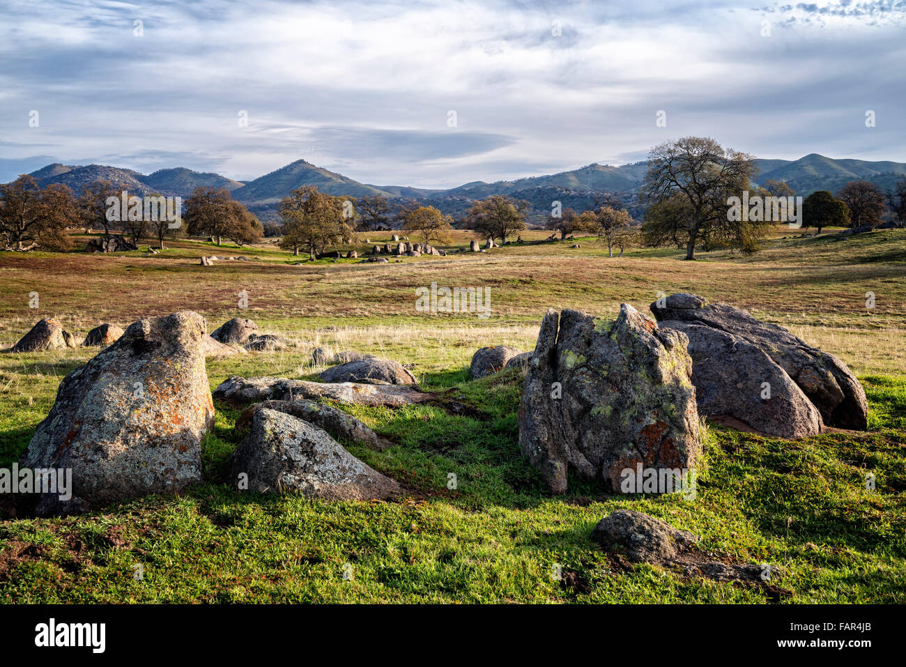 Rocks on Pasture Stock Photo - Alamy