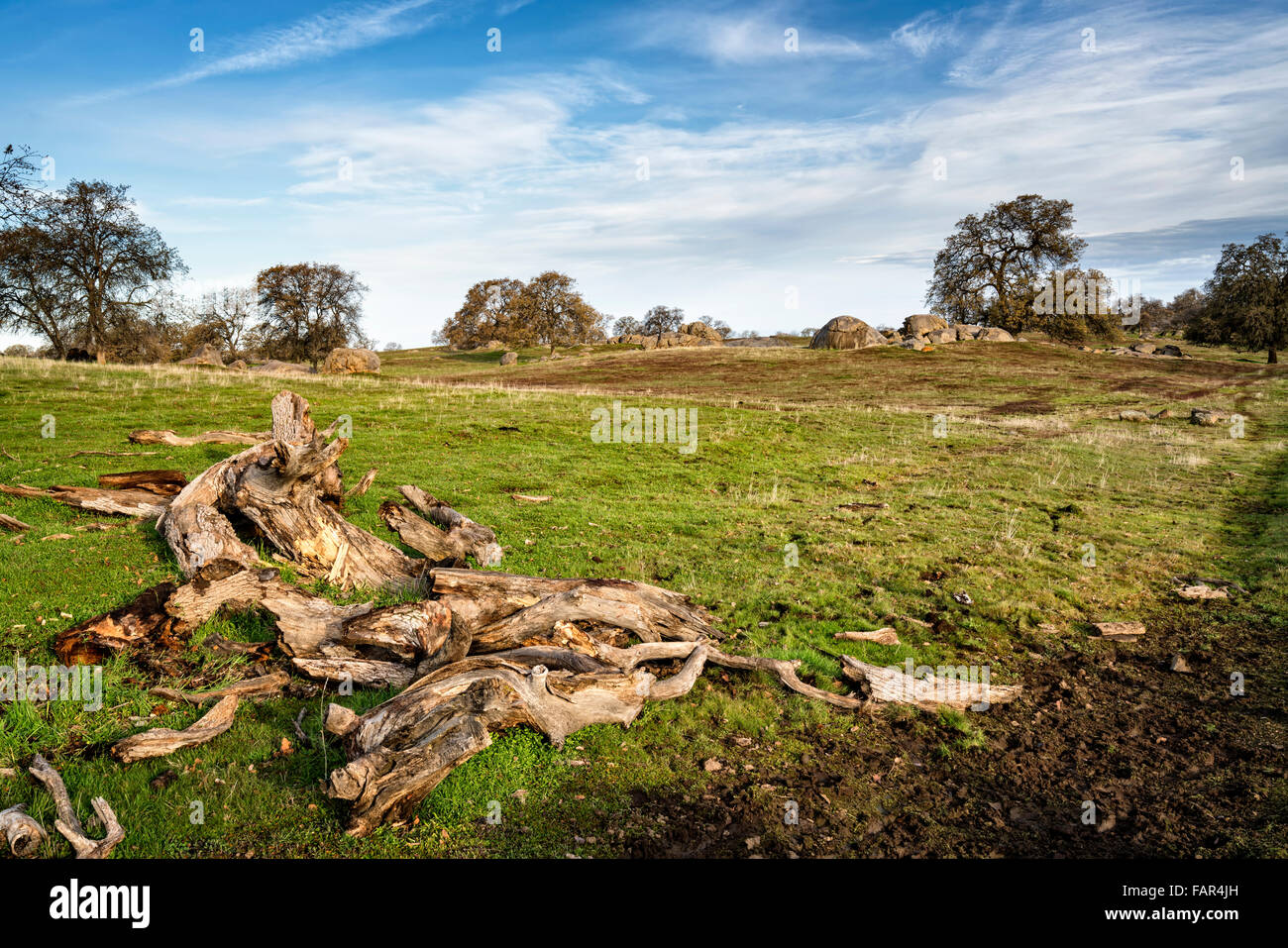 Fresno farm hi-res stock photography and images - Alamy