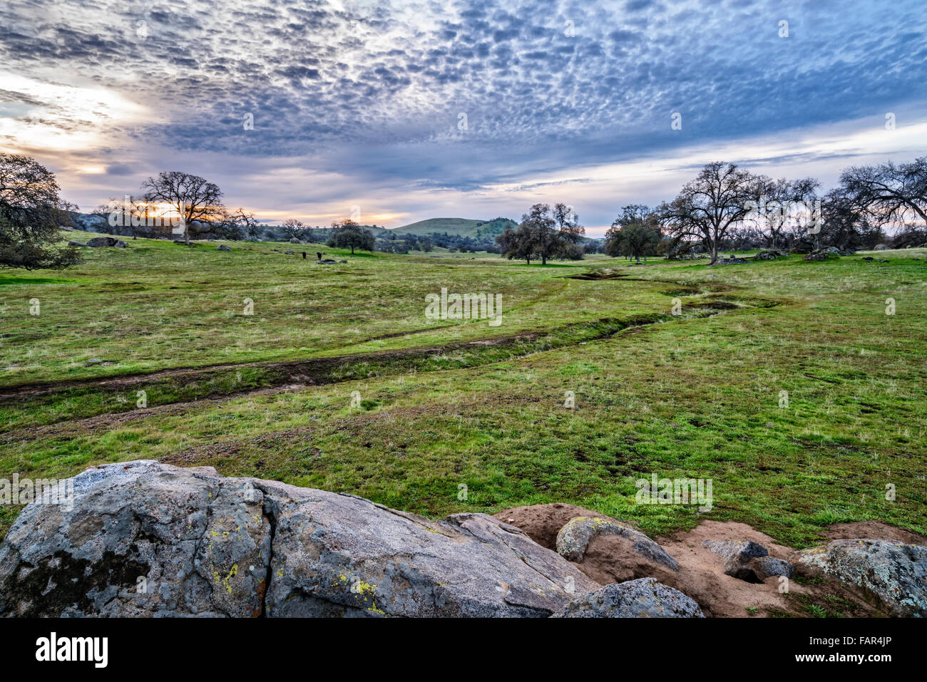 Farm land pasture Stock Photo - Alamy
