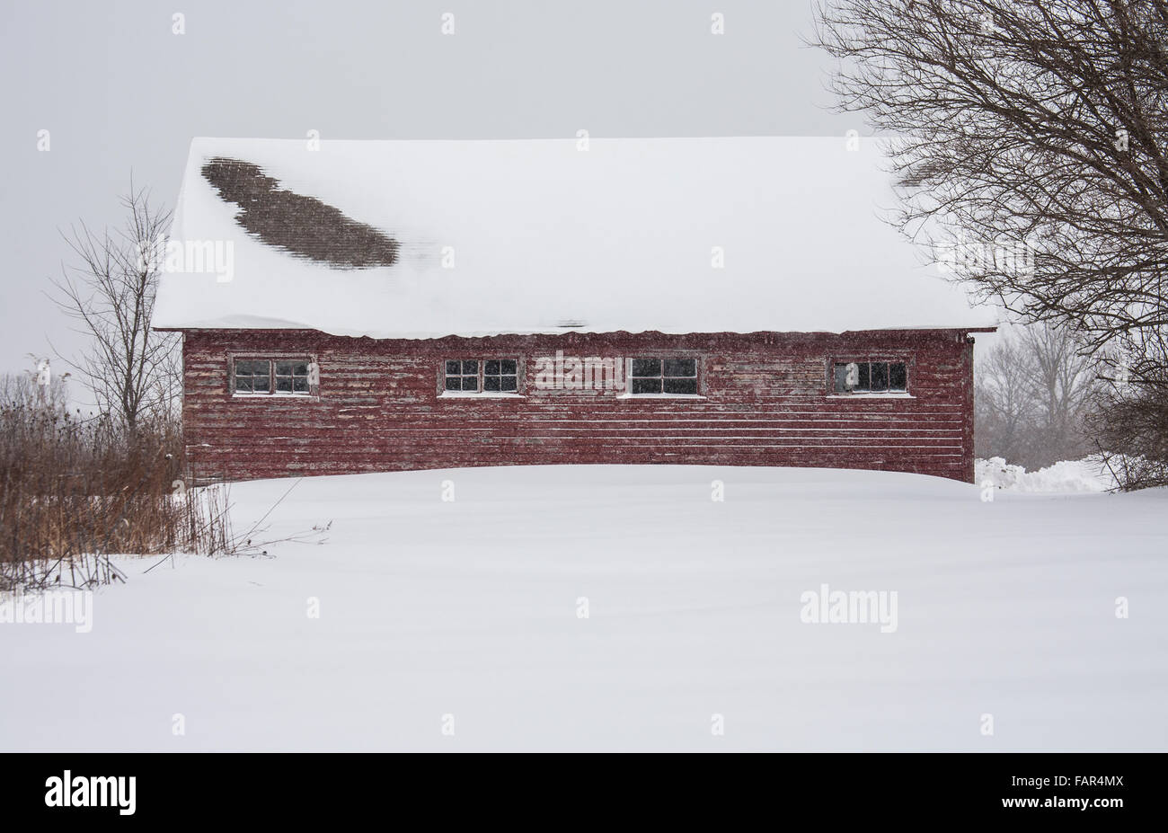 Historic colonial red barn snow scene Monmouth battlefield State Park ...