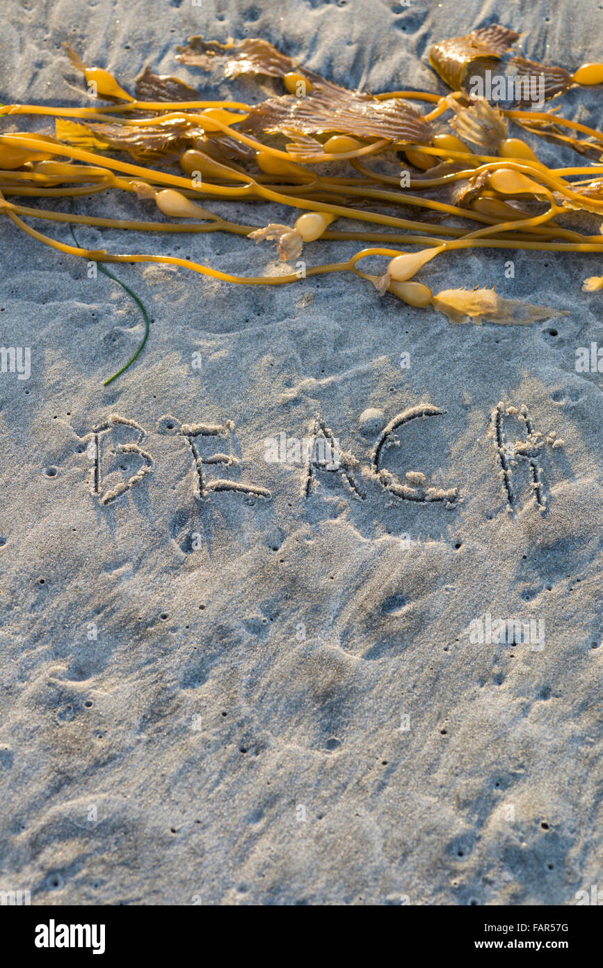 The word BEACH written in sand Stock Photo - Alamy