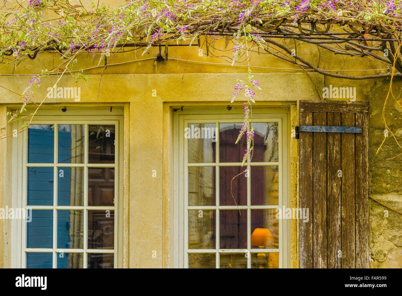 Wisteria vines and window, Provence, France Stock Photo - Alamy