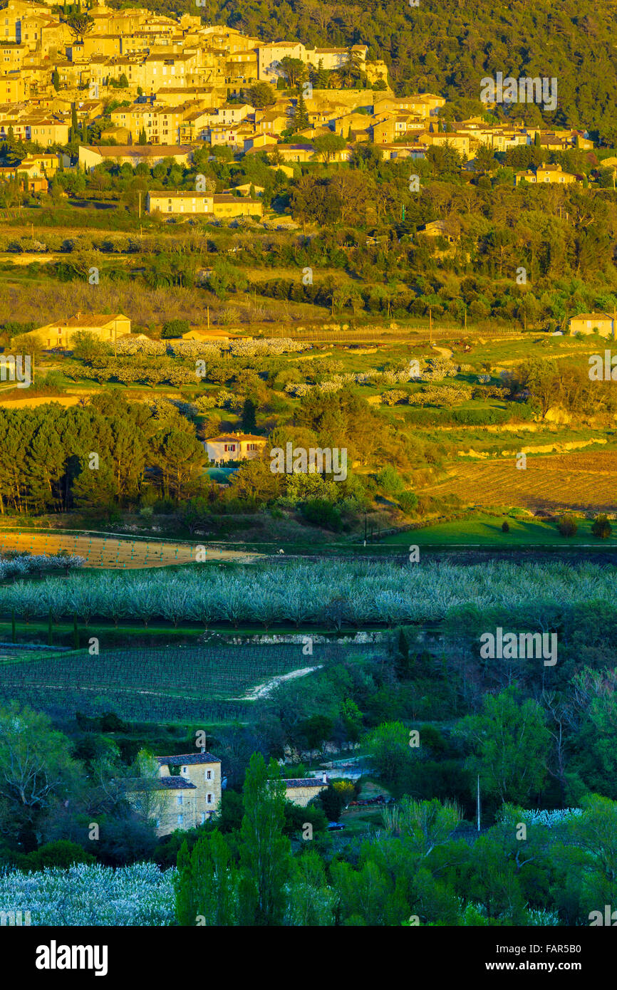 Town vineyard france hi-res stock photography and images - Alamy