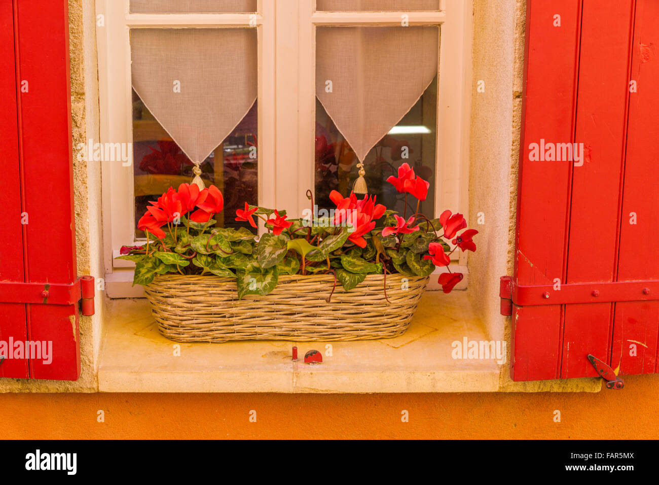 Flower basket on ledge of red shutterd window, Provence, France Stock ...