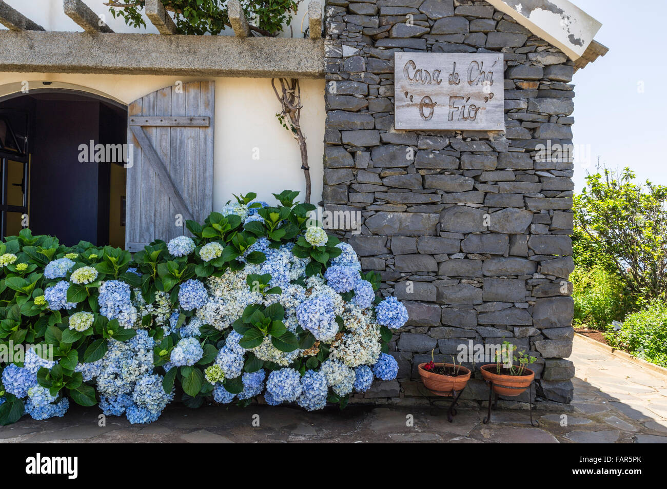 Madeira - Ponta do Pargo. o Fio Casa de Chá, tea room on the westmost ...