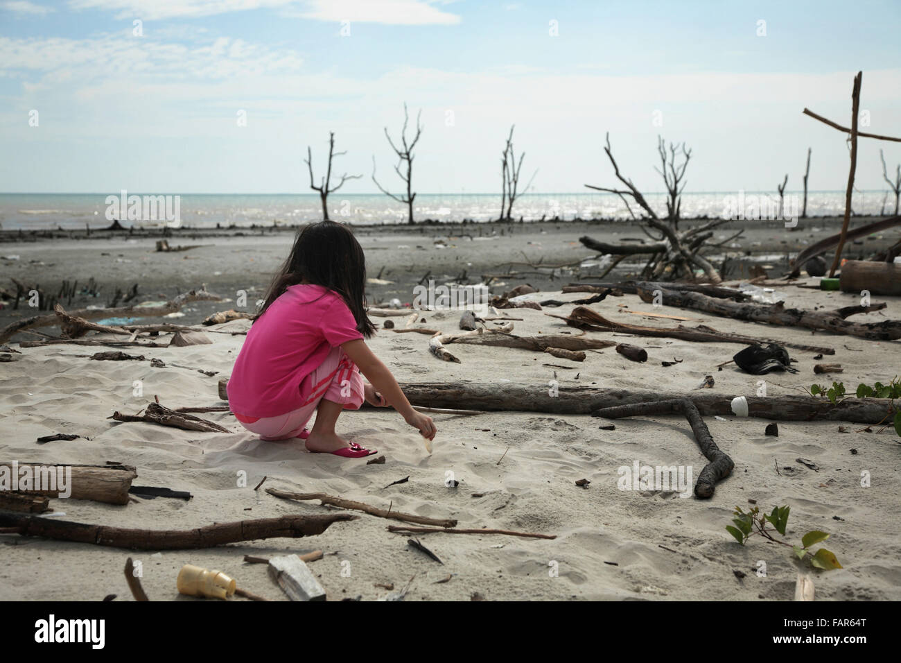 Polluted Beach Stock Photos & Polluted Beach Stock Images - Alamy