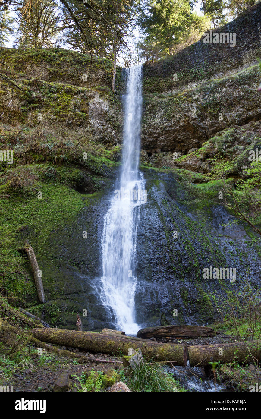 Winter Falls located in Silver Falls State Park in Oregon flowing over ...