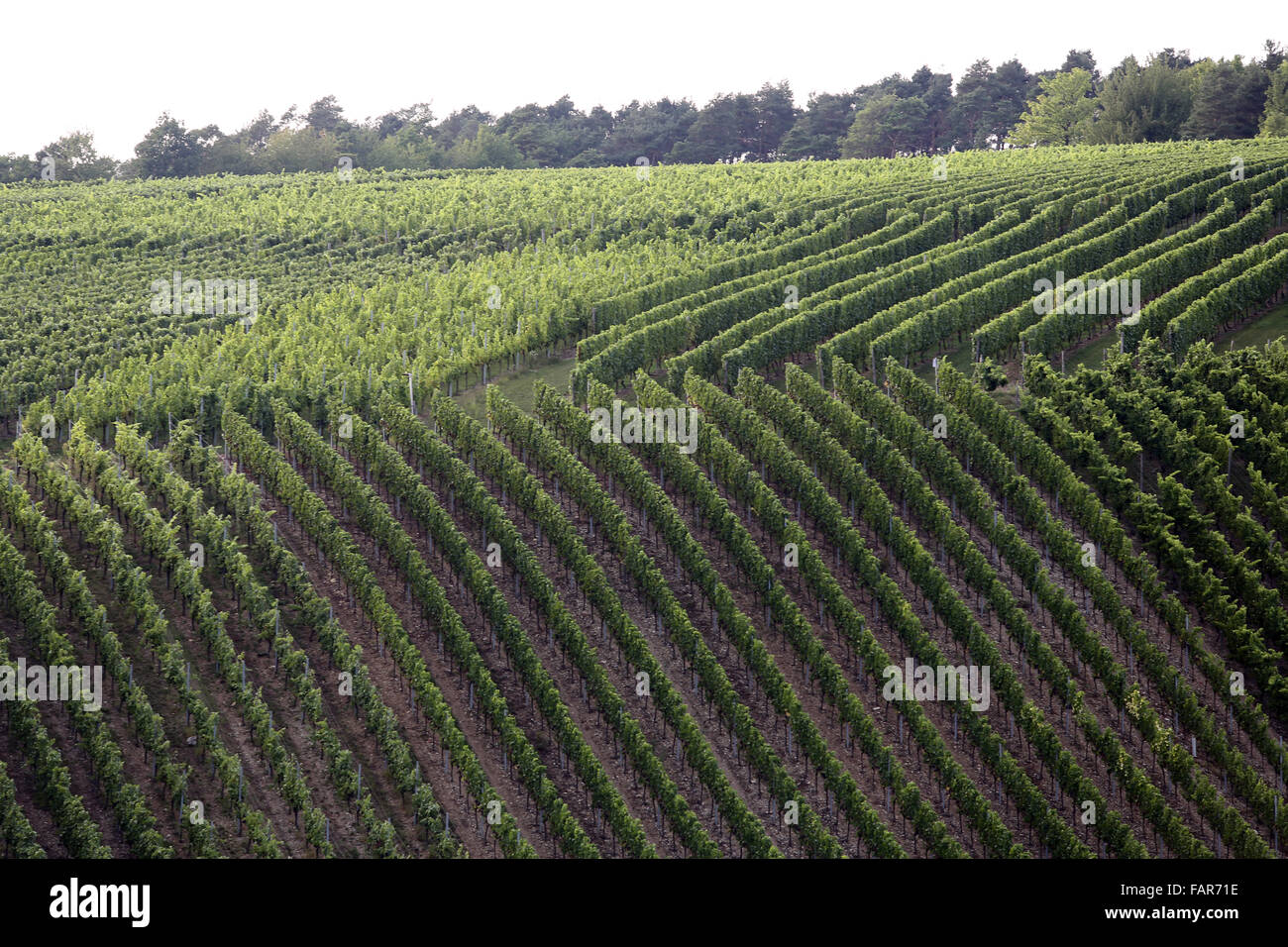 Germany Lauda town Stock Photo - Alamy