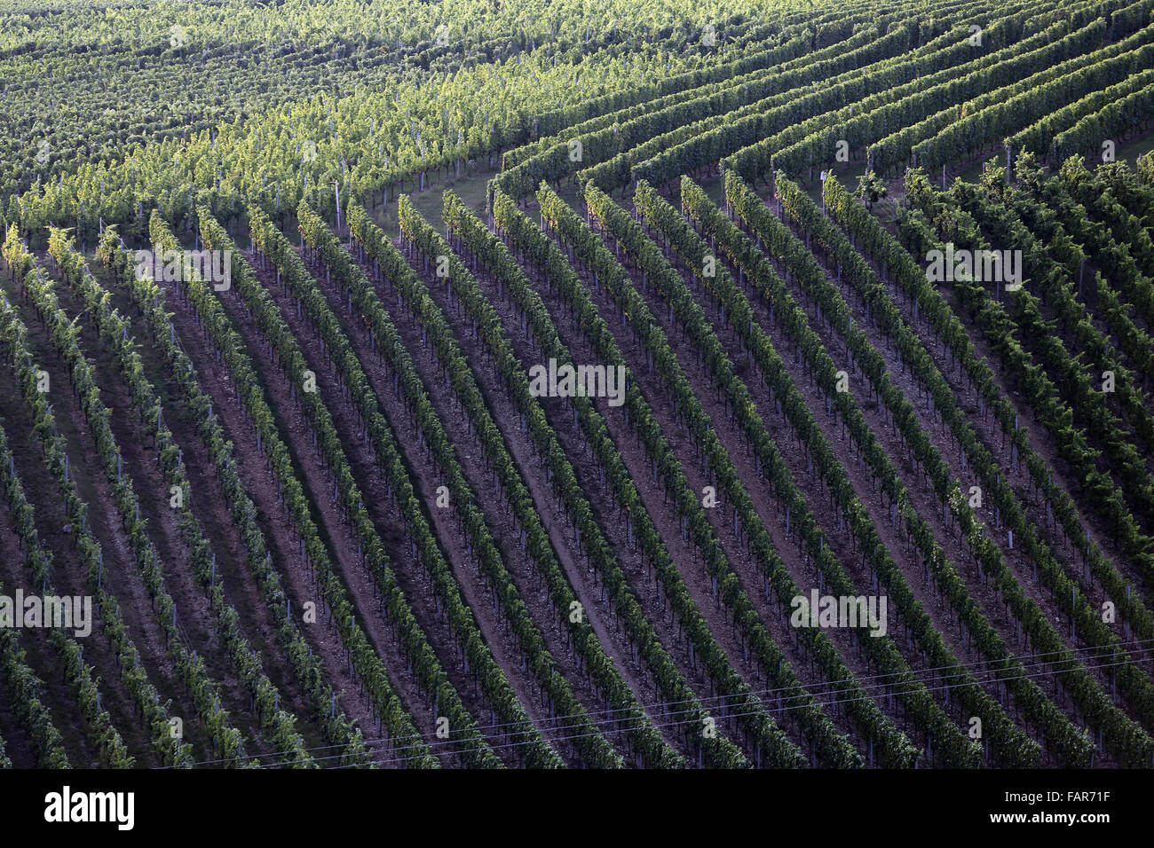 Germany Lauda town Stock Photo - Alamy