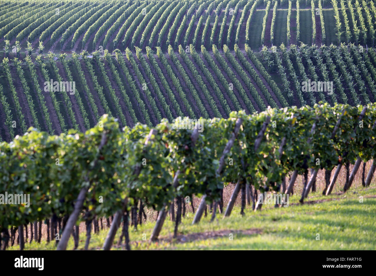 Germany Lauda town Stock Photo - Alamy