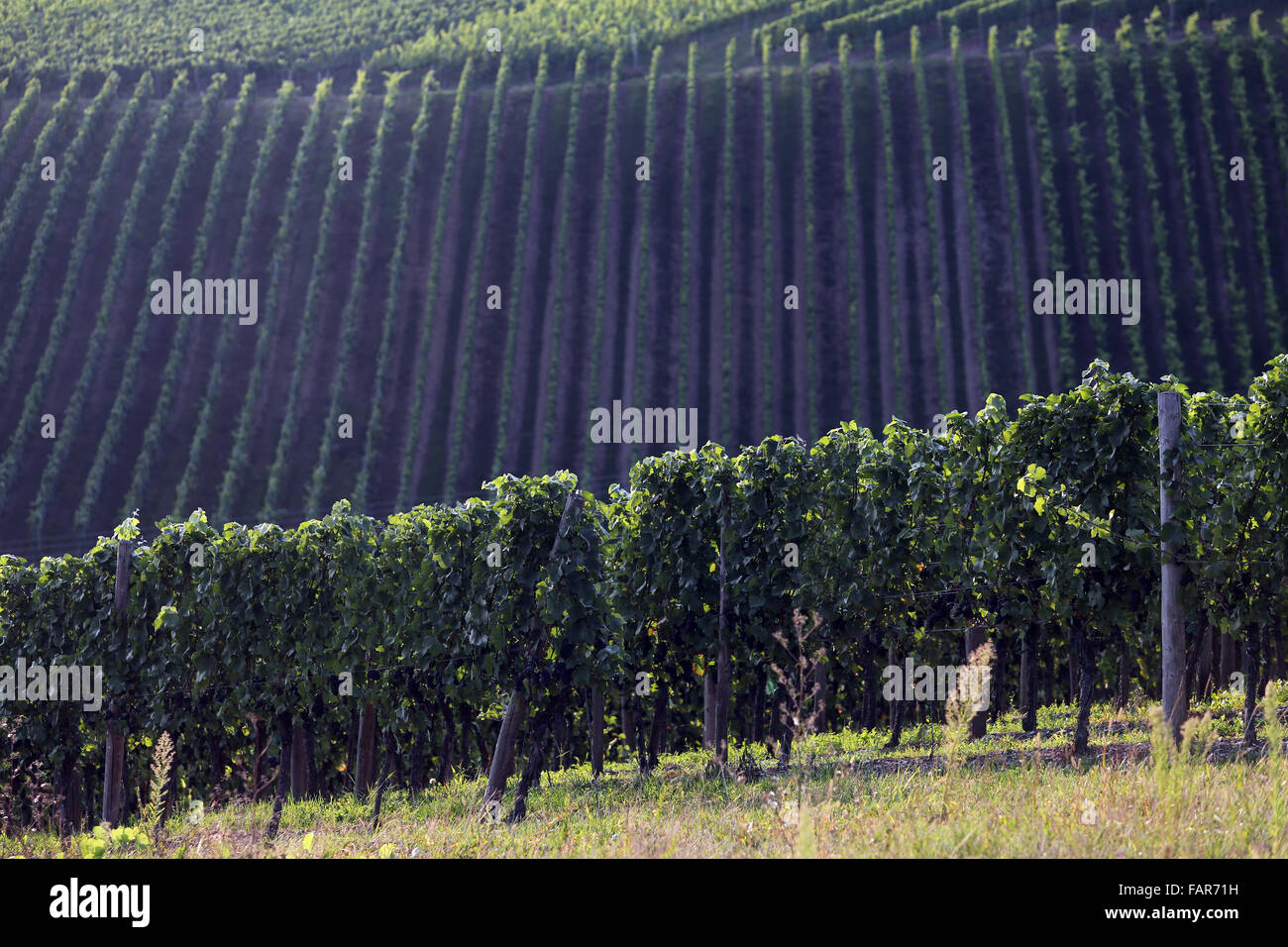 Germany Lauda town Stock Photo - Alamy