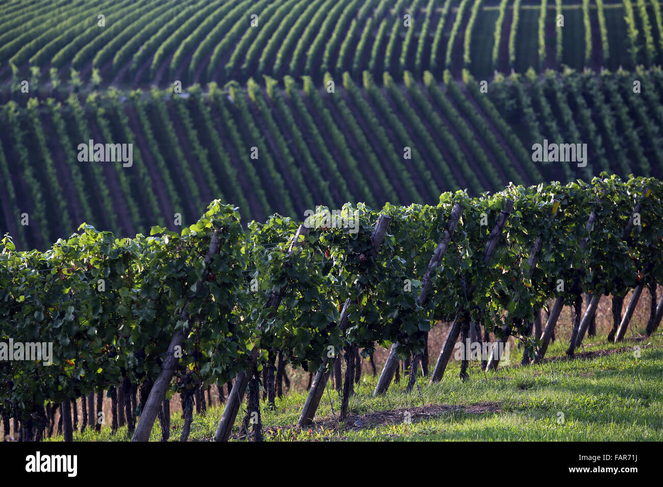 Germany Lauda town Stock Photo - Alamy