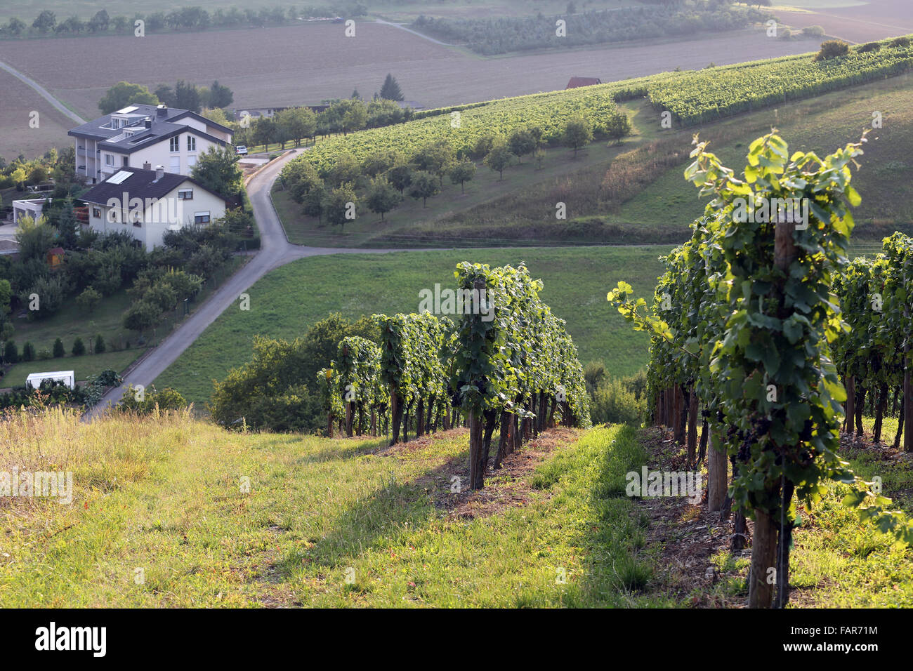 Germany Lauda town Stock Photo - Alamy