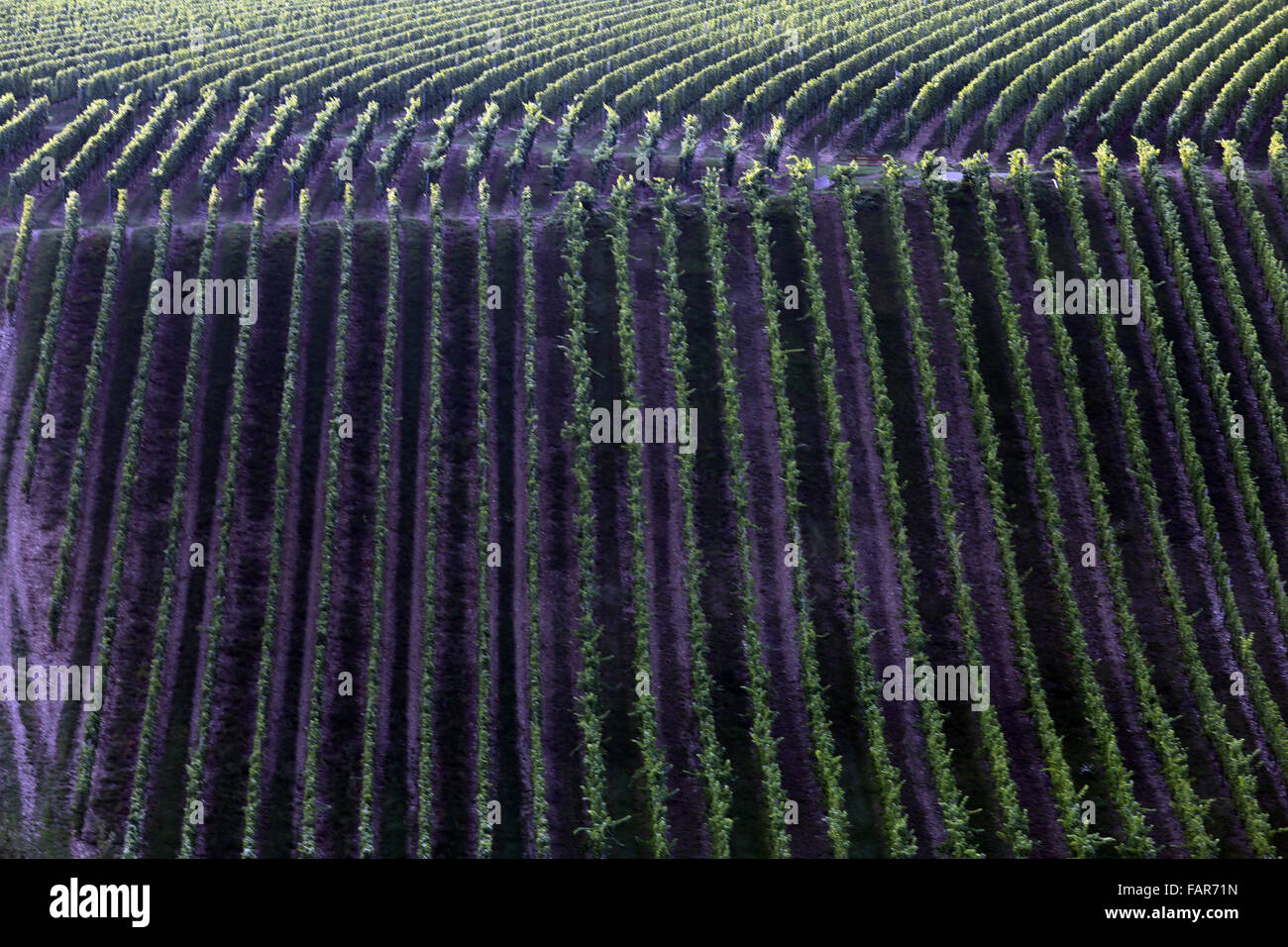 Germany Lauda town Stock Photo - Alamy