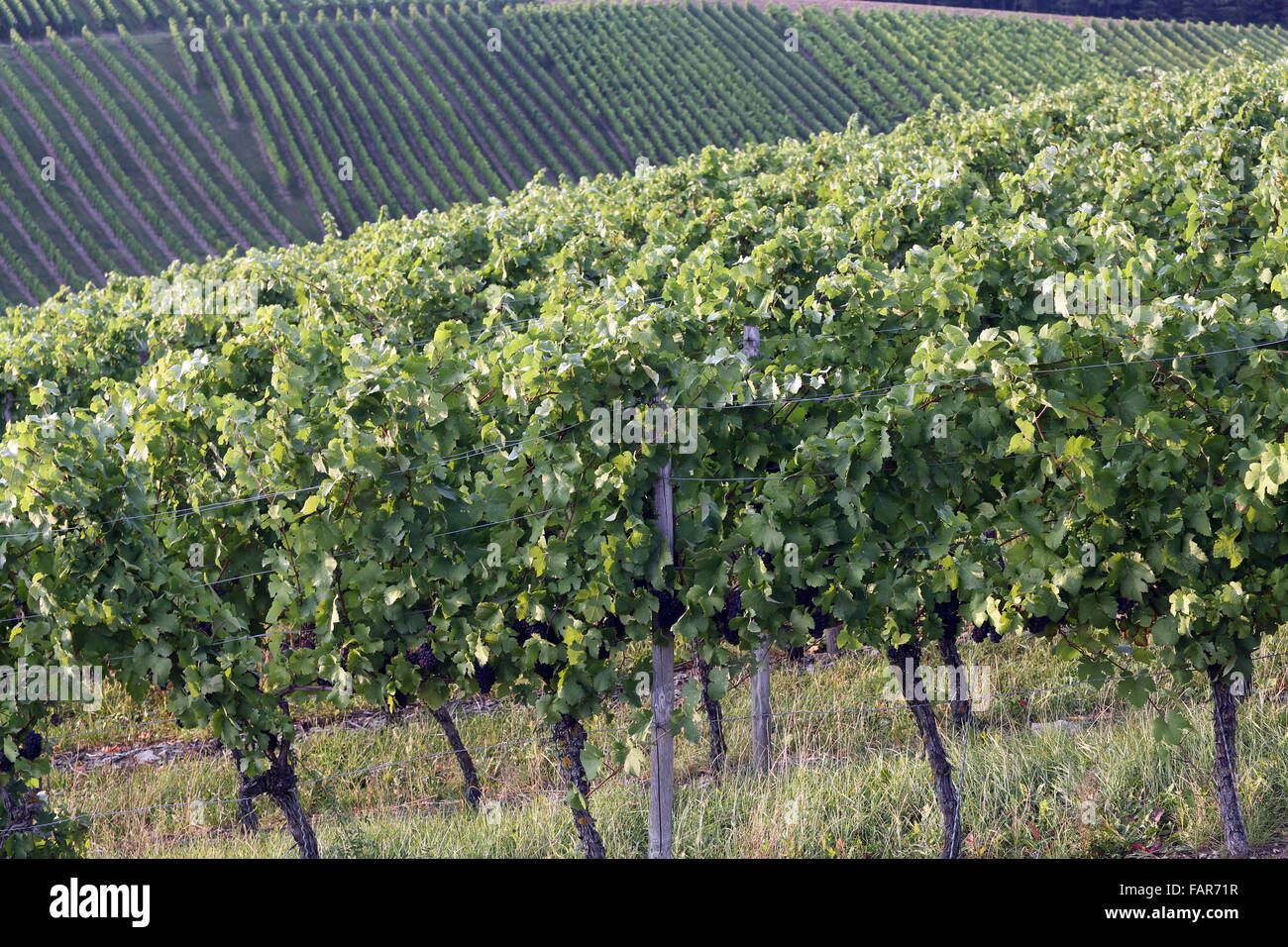 Germany Lauda town Stock Photo - Alamy