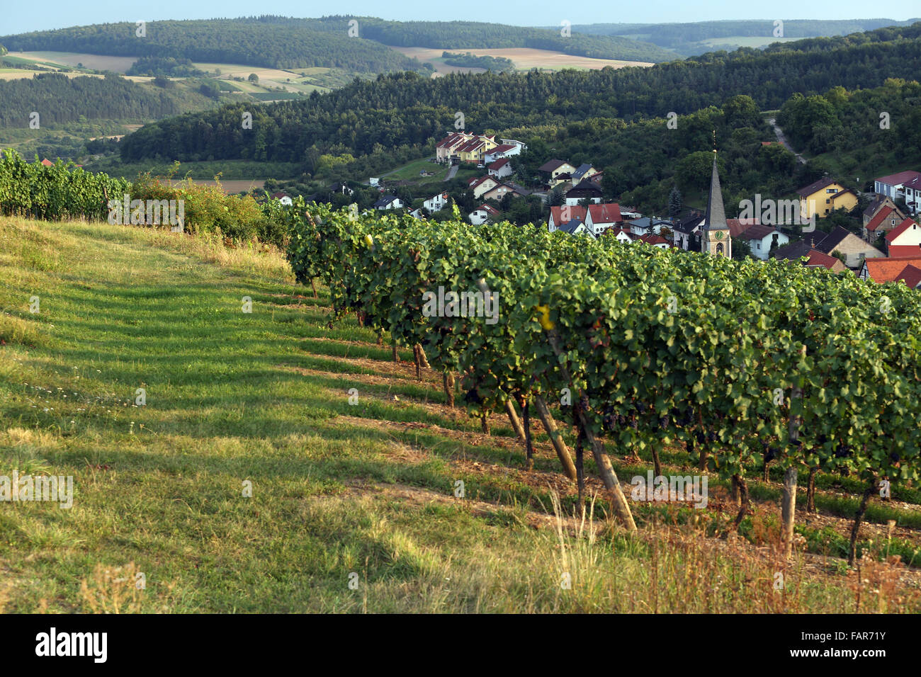 Germany Lauda town Stock Photo - Alamy