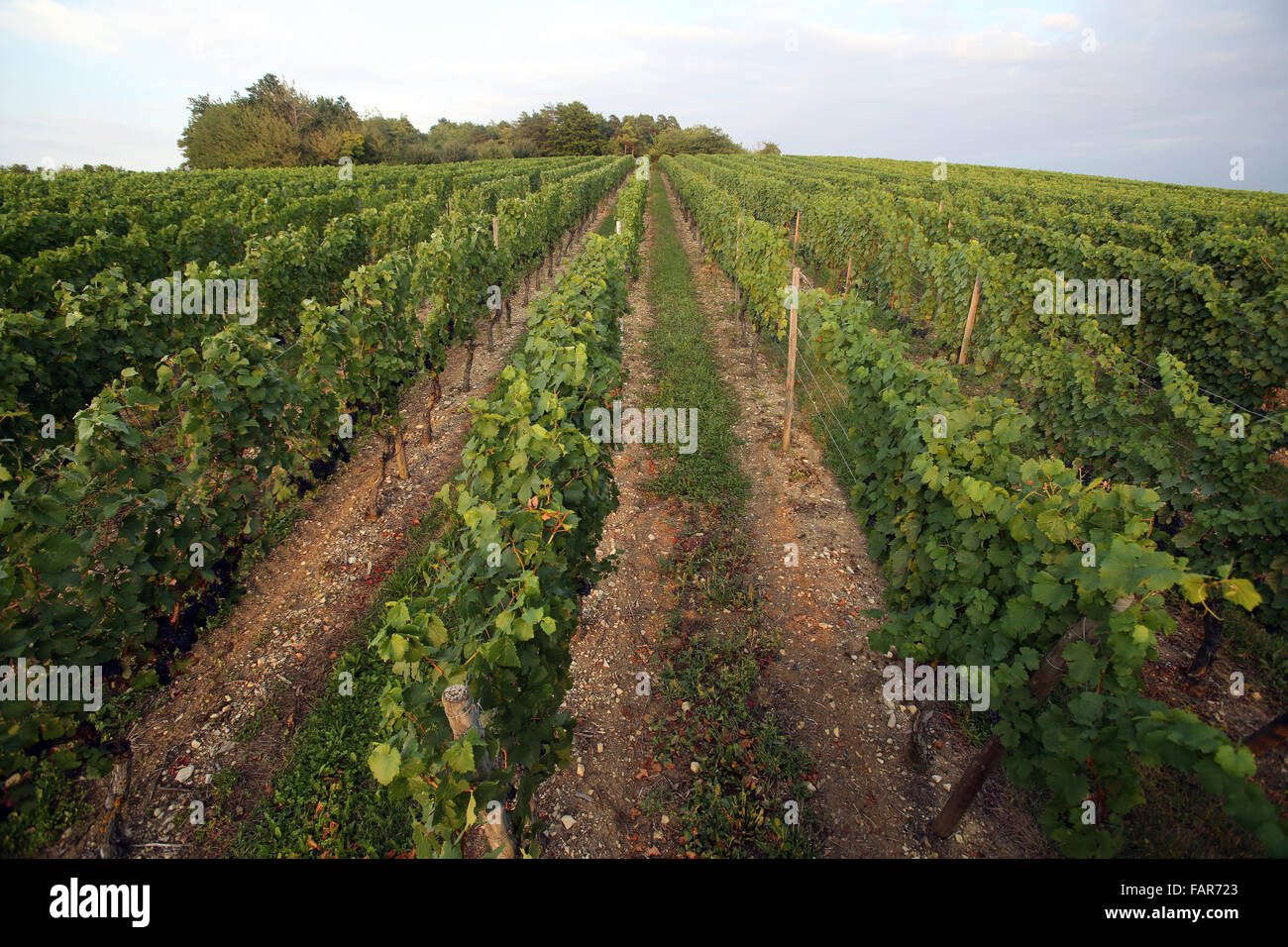 Germany Lauda town Stock Photo - Alamy