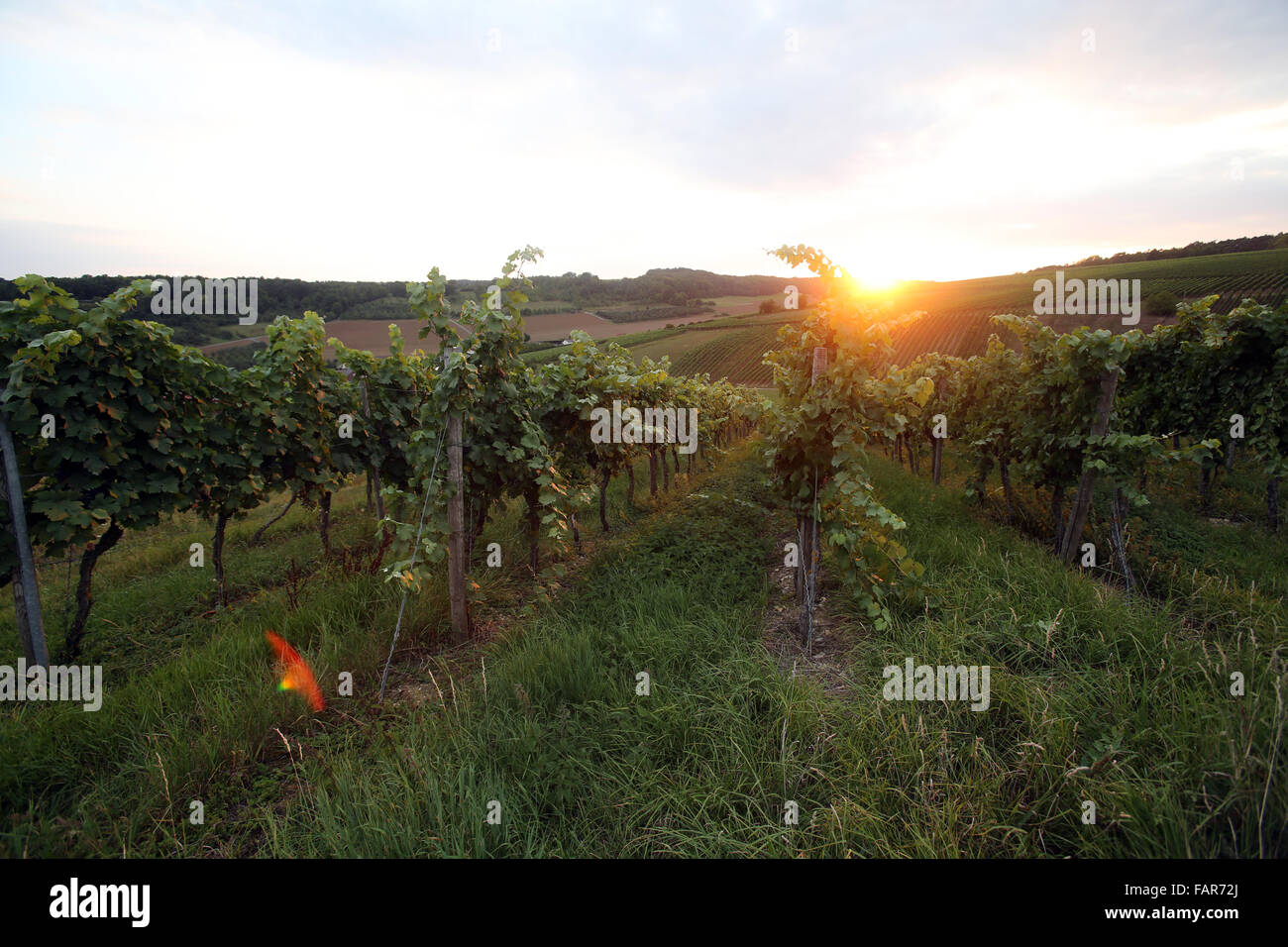 Germany Lauda town Stock Photo - Alamy