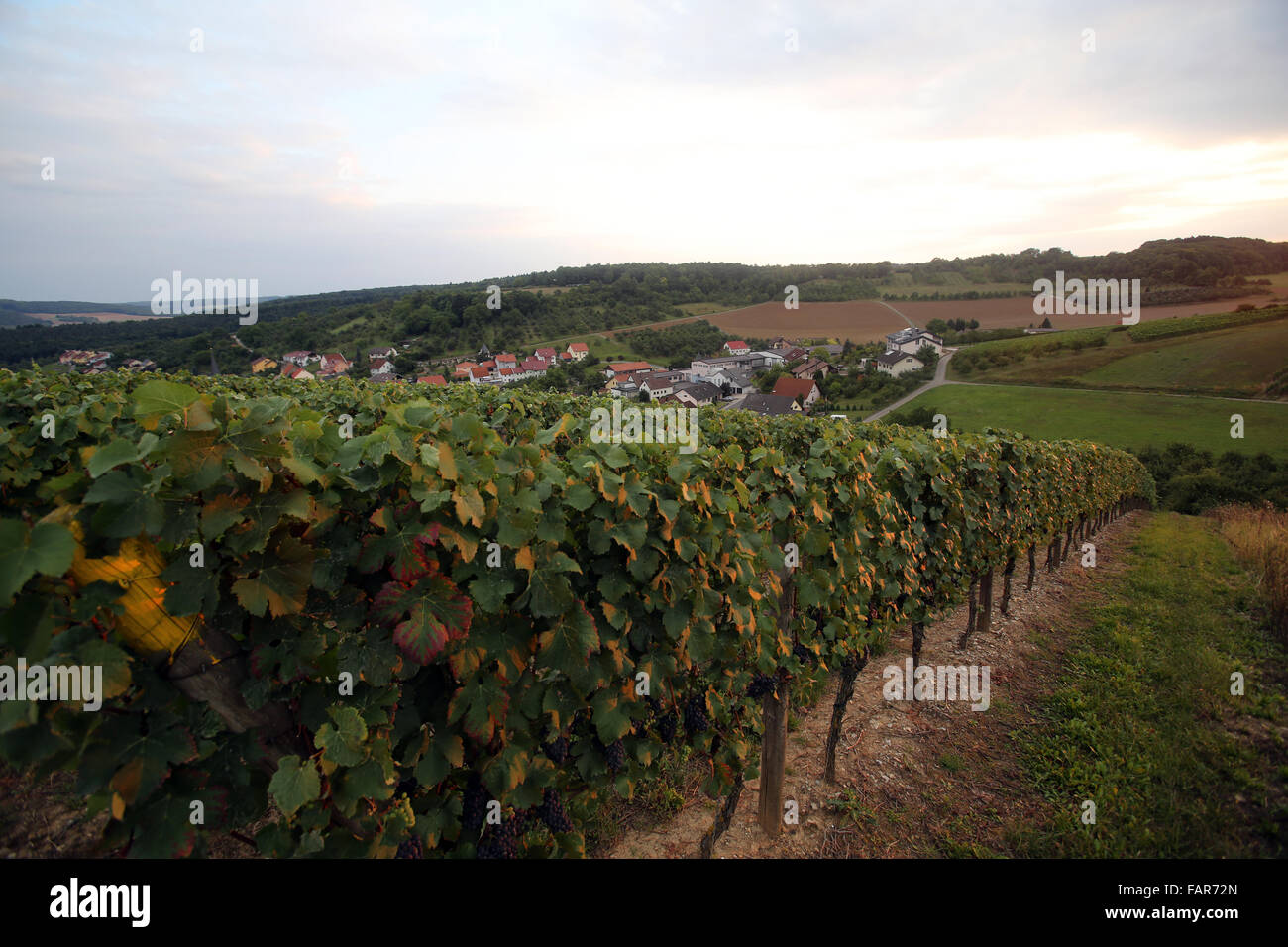Germany Lauda town Stock Photo - Alamy