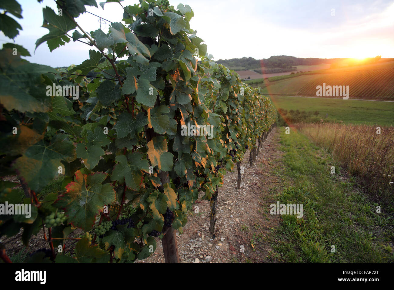 Germany Lauda town Stock Photo - Alamy