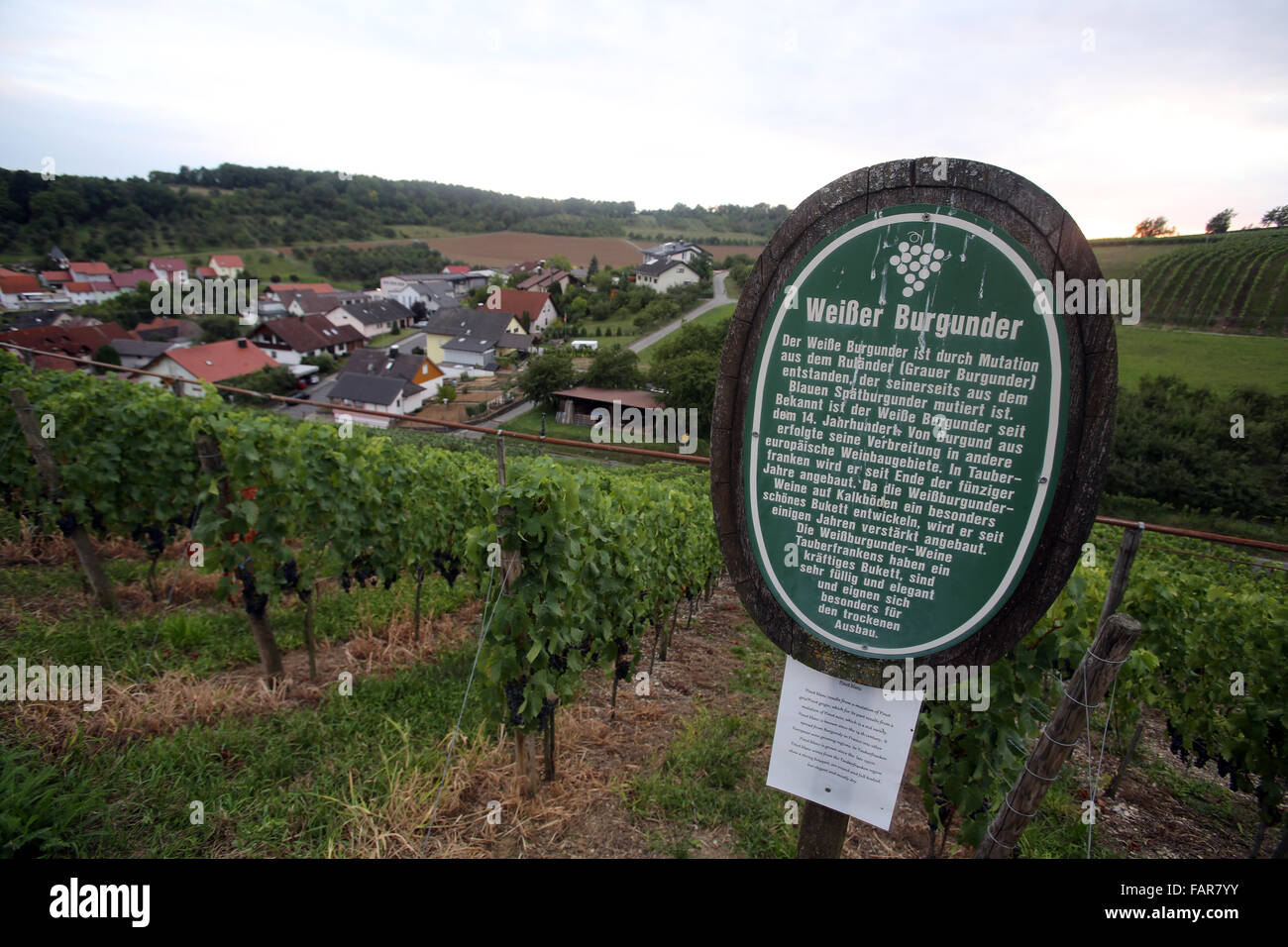 Germany Lauda town Stock Photo - Alamy