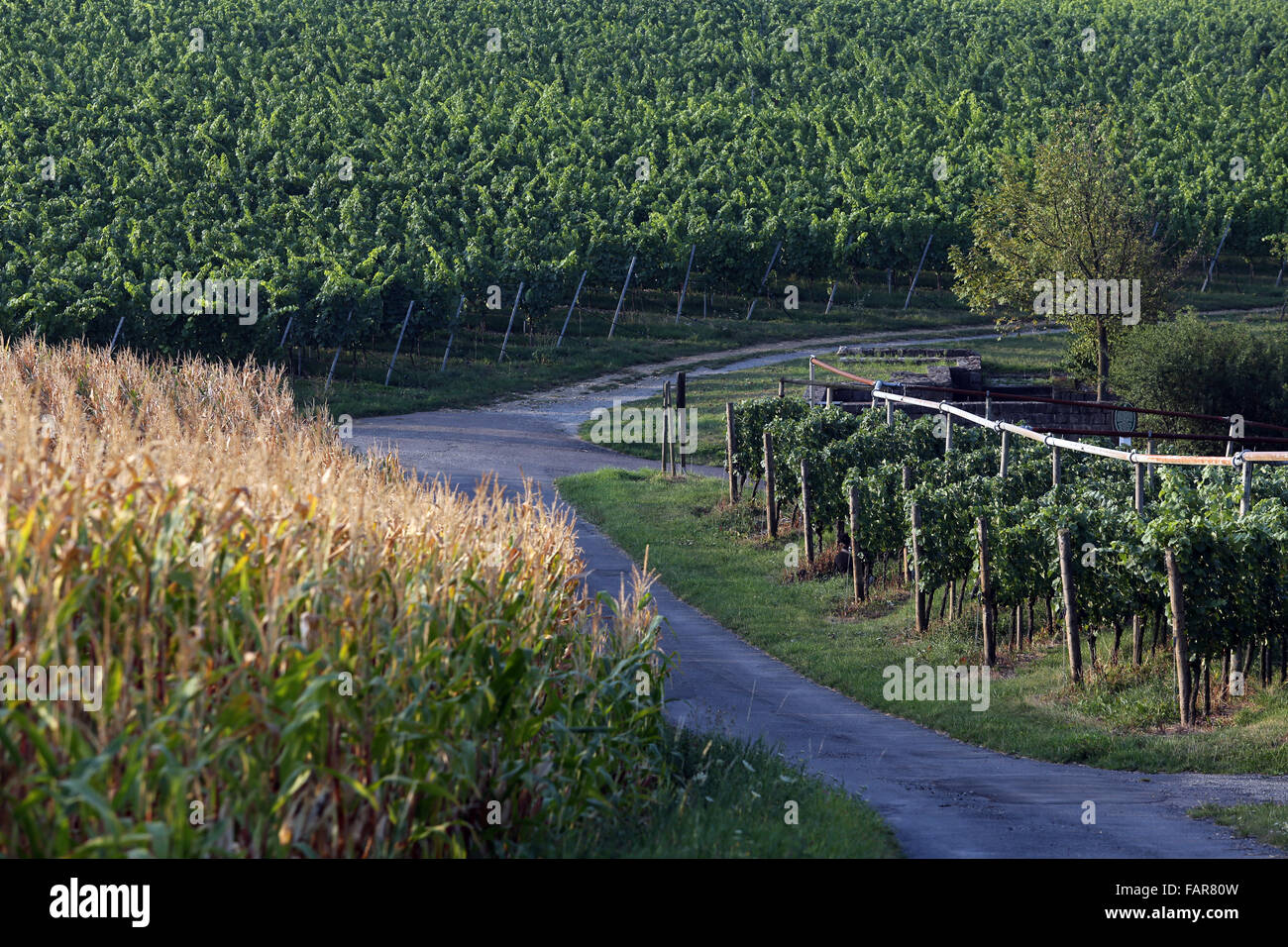 Germany Lauda town Stock Photo - Alamy