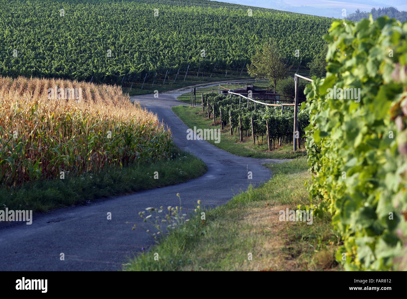 Germany Lauda town Stock Photo - Alamy