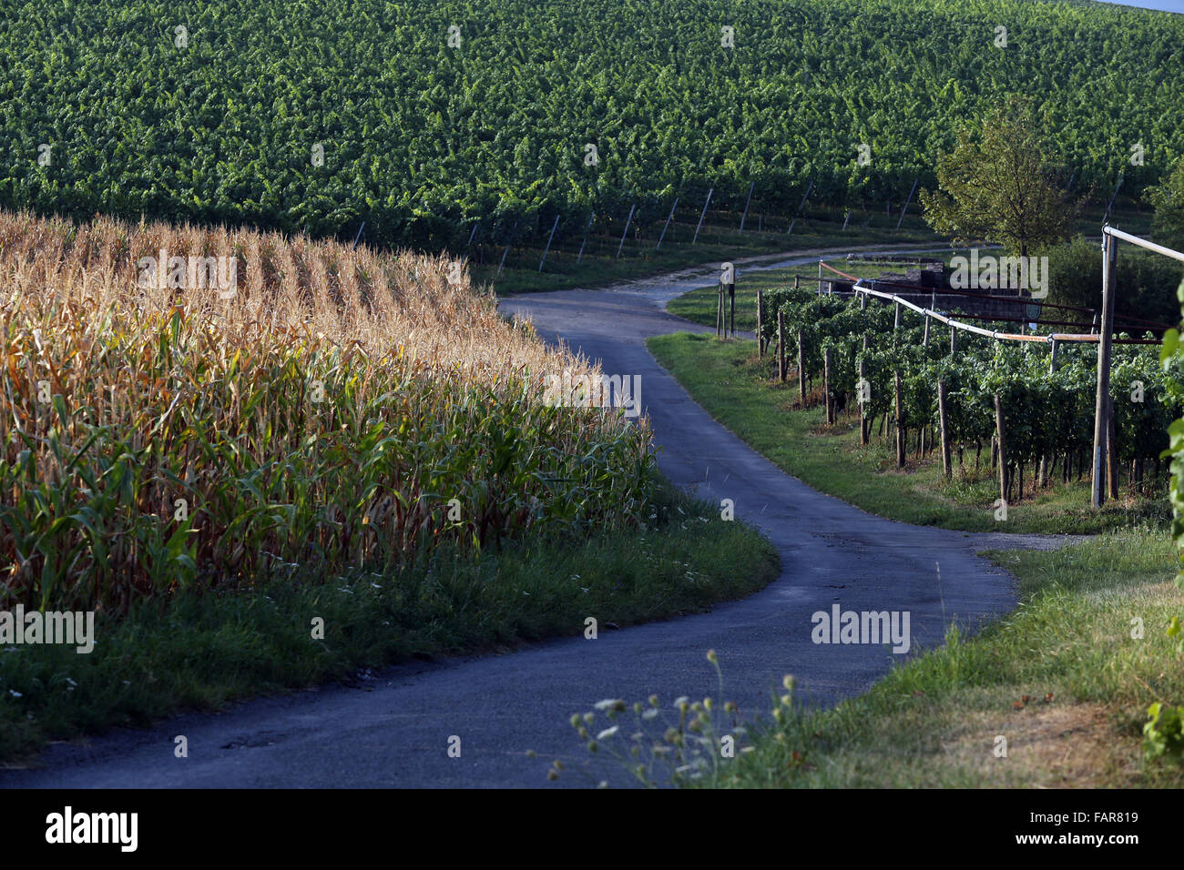 Germany Lauda town Stock Photo - Alamy