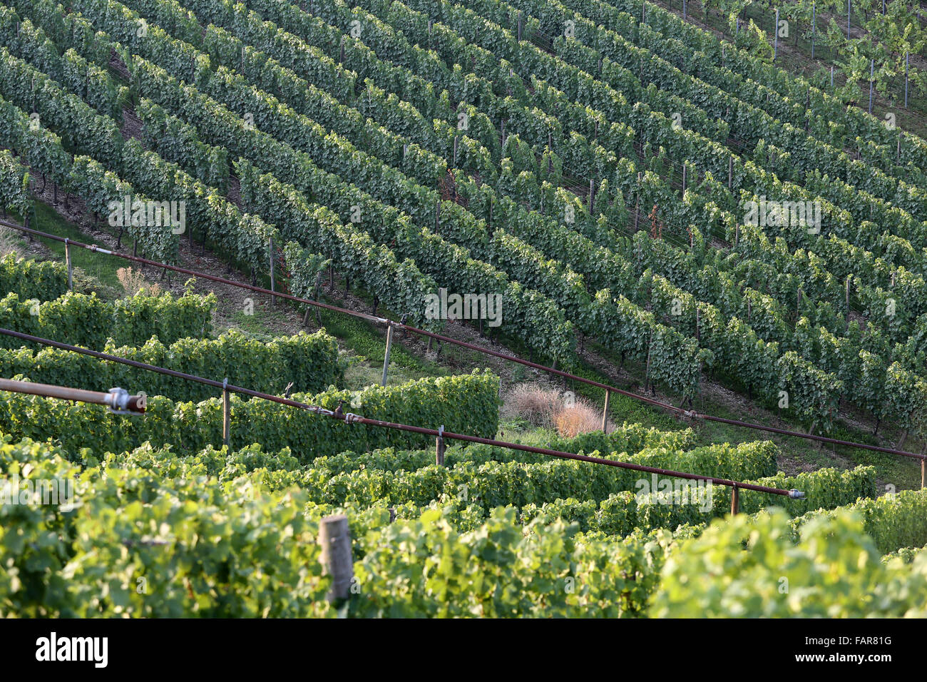 Germany Lauda town Stock Photo - Alamy