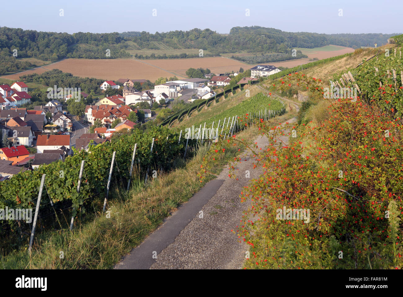 Germany Lauda town Stock Photo - Alamy