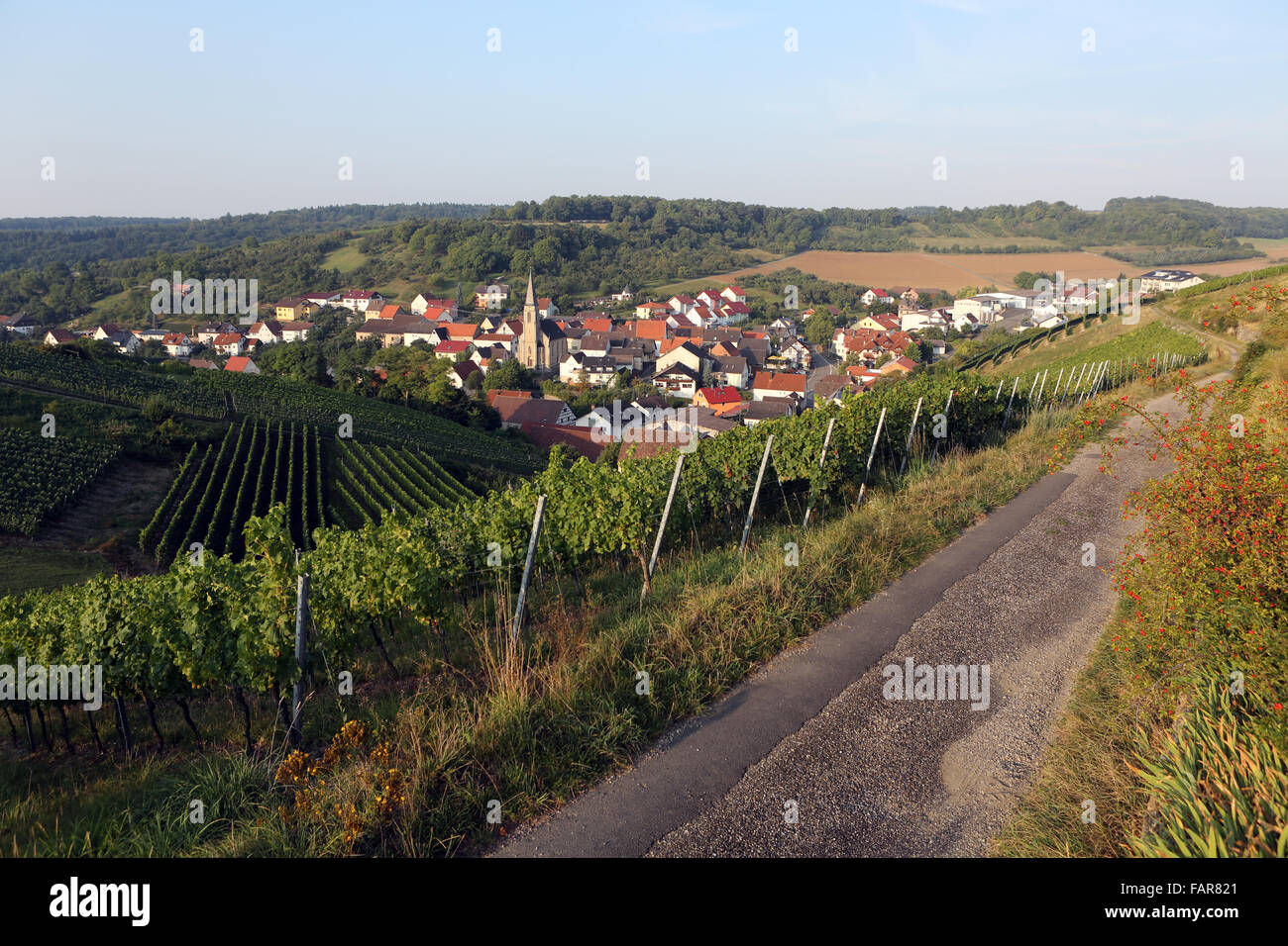 Germany Lauda town Stock Photo - Alamy