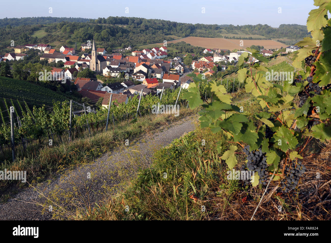 Germany Lauda town Stock Photo - Alamy