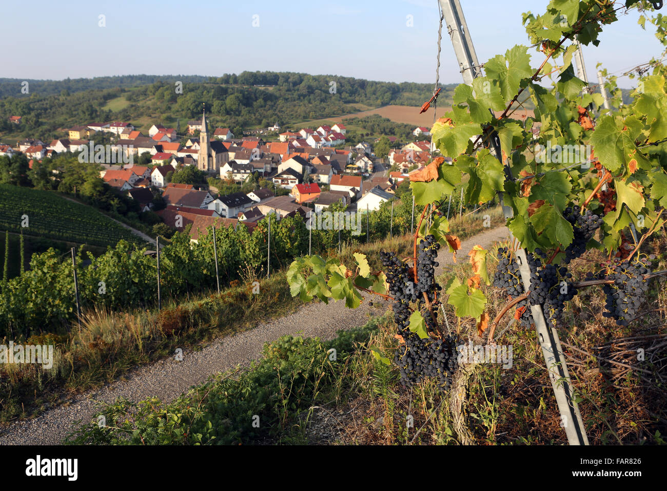 Germany Lauda town Stock Photo - Alamy
