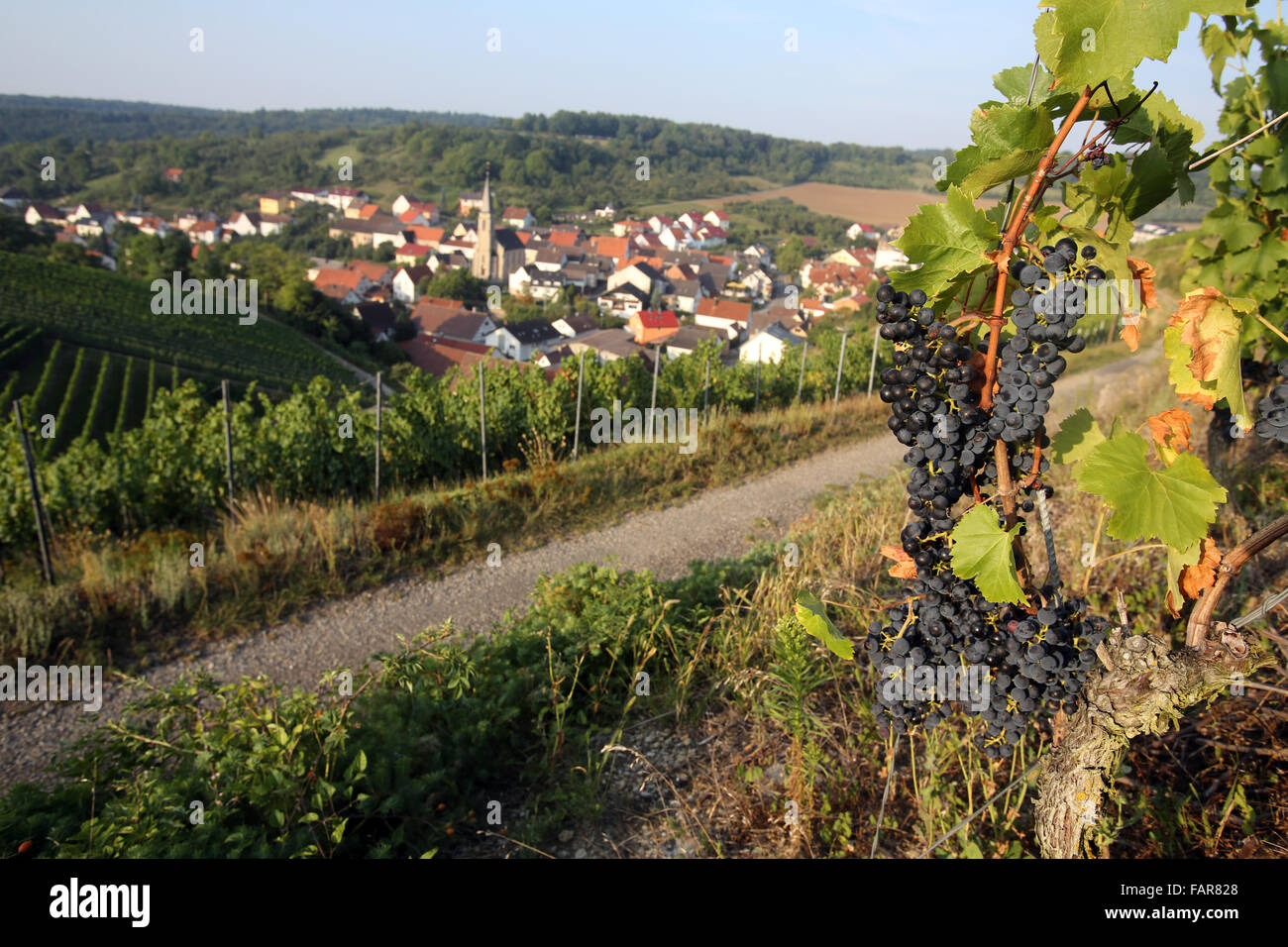 Germany Lauda town Stock Photo - Alamy