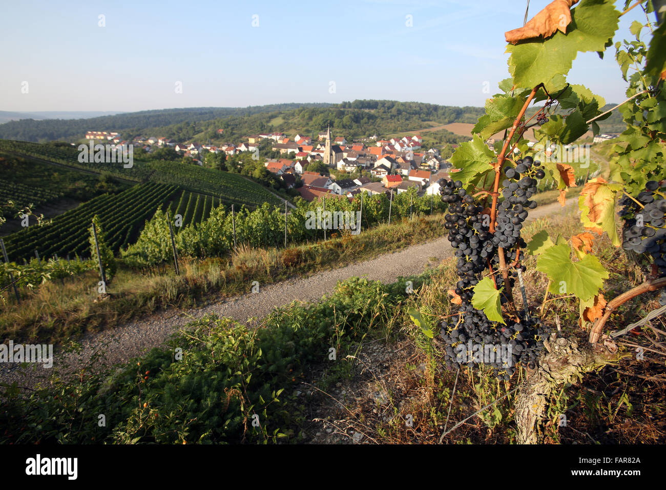 Germany Lauda town Stock Photo - Alamy