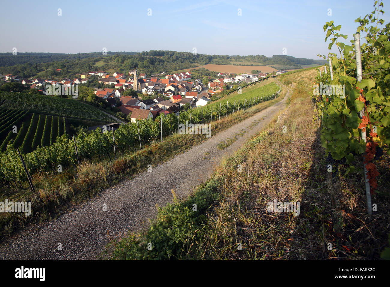 Germany Lauda town Stock Photo - Alamy