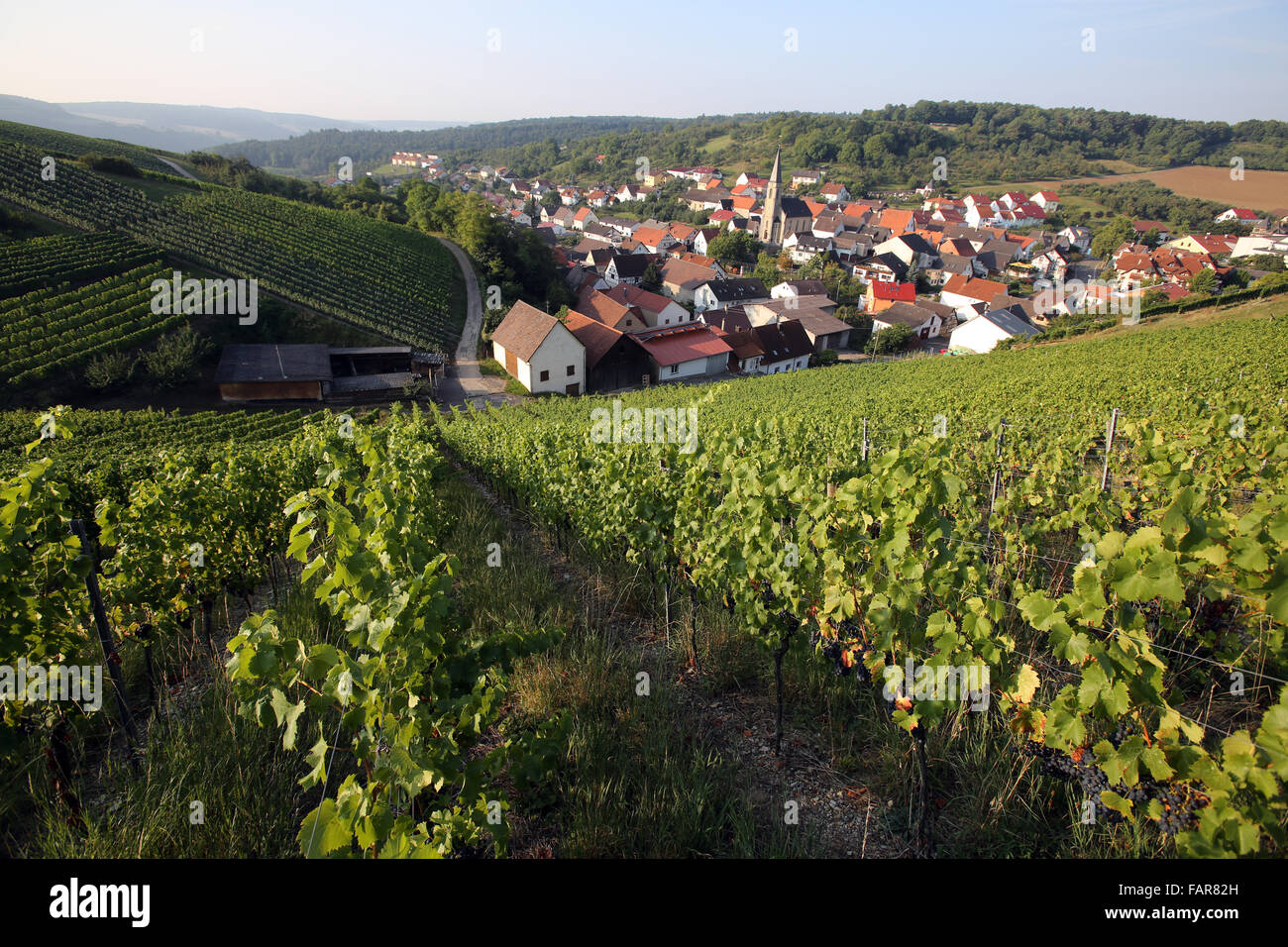 Germany Lauda town Stock Photo - Alamy