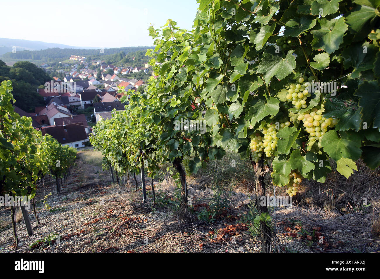 Germany Lauda town Stock Photo - Alamy