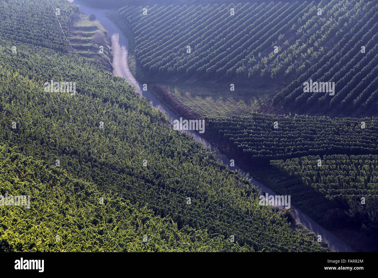 Germany Lauda town Stock Photo - Alamy