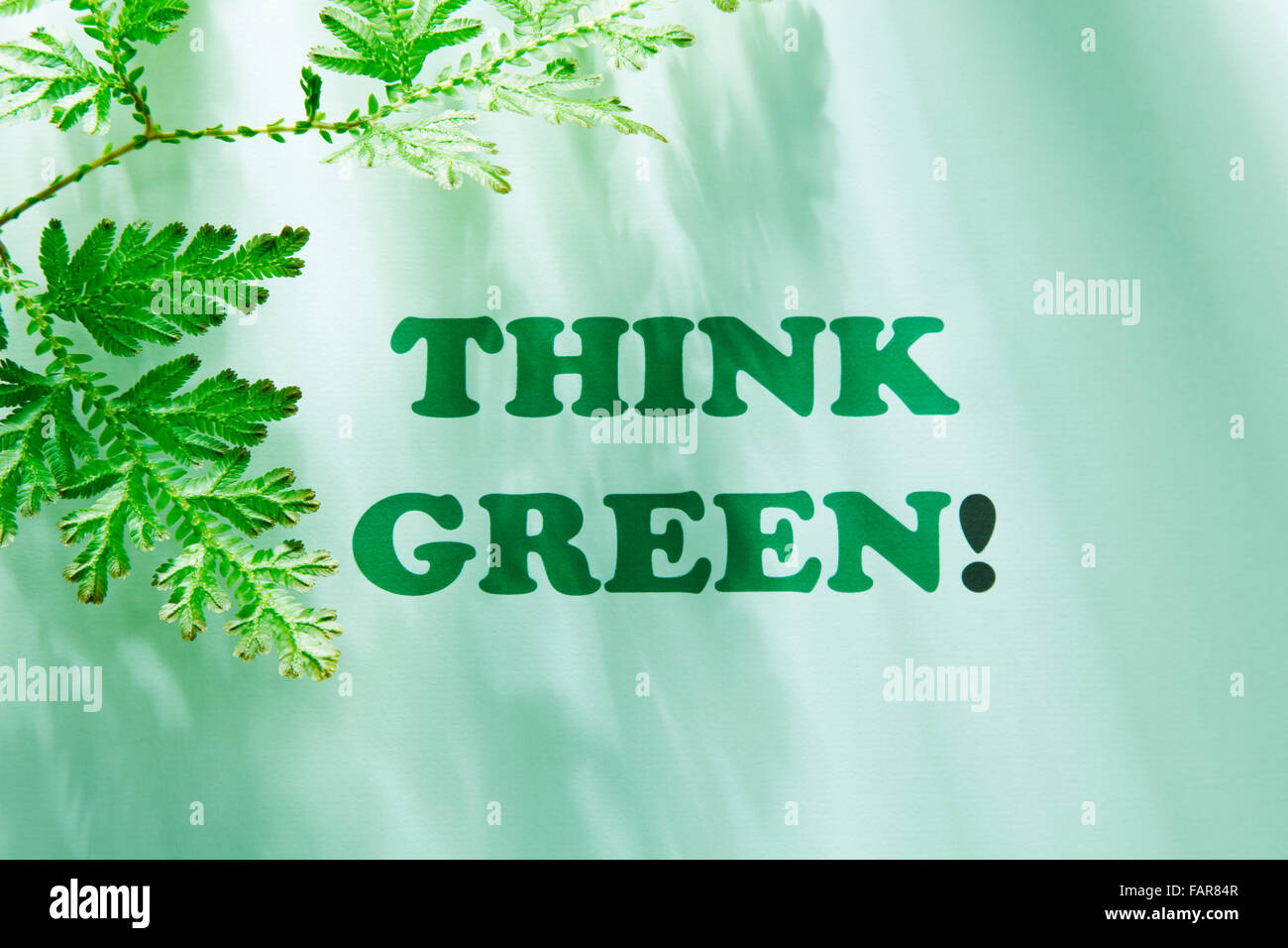 Save tree hi-res stock photography and images - Alamy