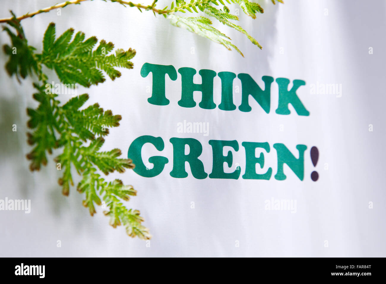 Save tree hi-res stock photography and images - Alamy